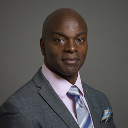 Official portrait for Lord Bailey of Paddington - MPs and Lords - UK ...